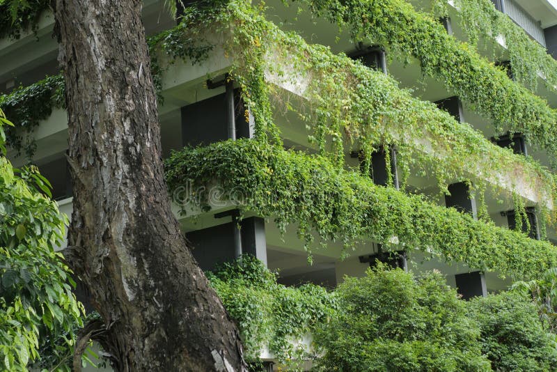 Building with Plants Growing on the Facade Stock Image - Image of ...
