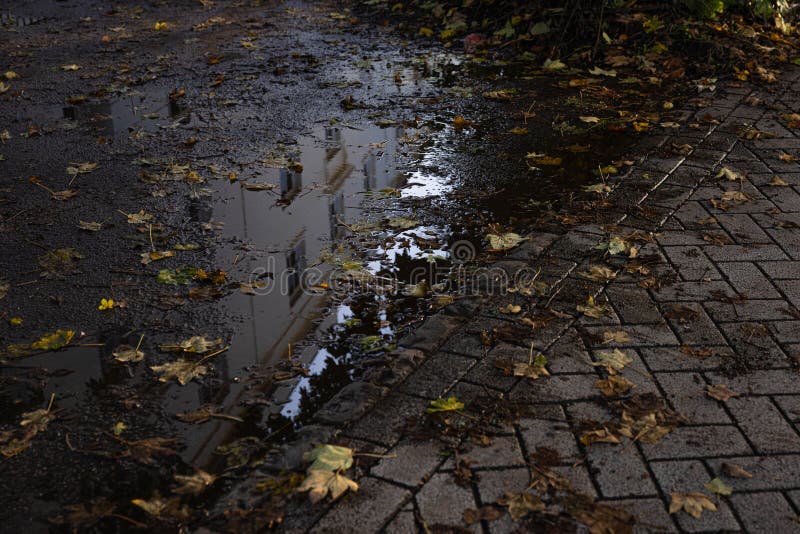 Building Reflecting in a Puddle Stock Photo - Image of reflecting ...