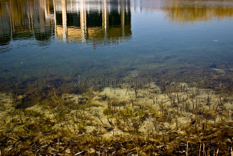 Building Reflection on Water. the Bottom of the Lake, the Swamp Stock ...