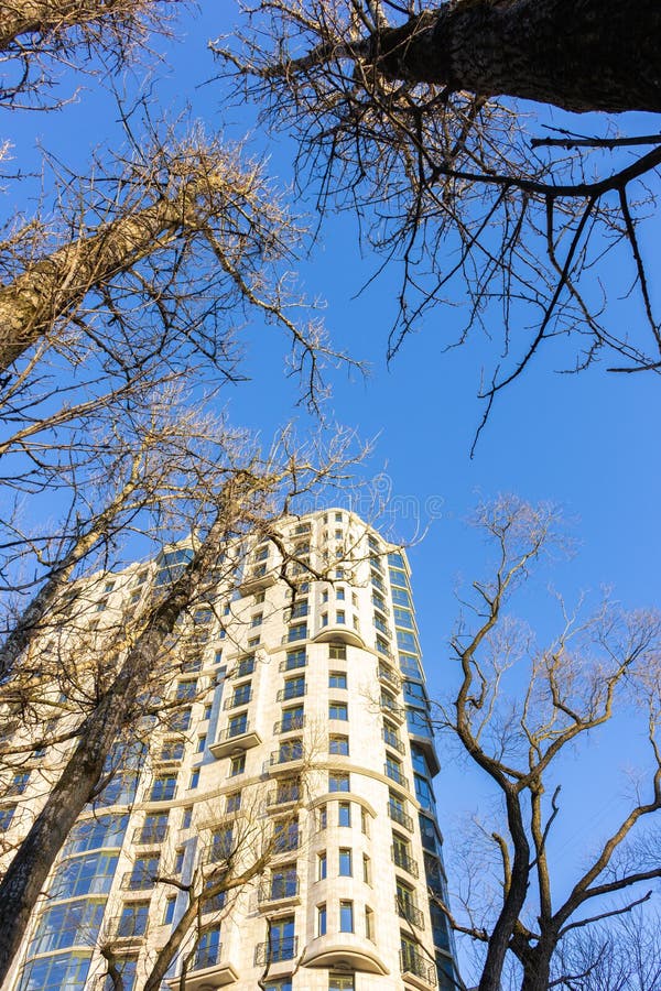 Building Skyscraper Architecture among the Trees Park Stock Image ...