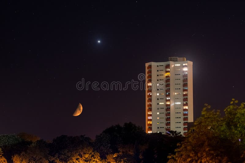 Building at the Starry Night Sky with Trees on the Foreground Stock ...
