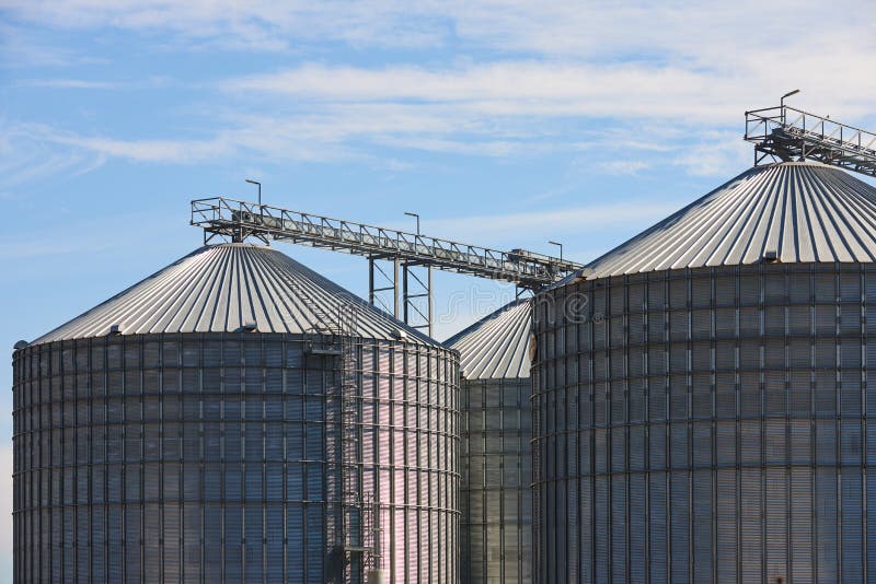 Building for Storage and Drying of Grain Crops. Agricultural Silo Stock ...