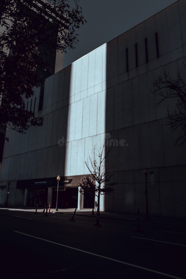 Building Surrounded by Trees Under the Lights during the Evening in ...