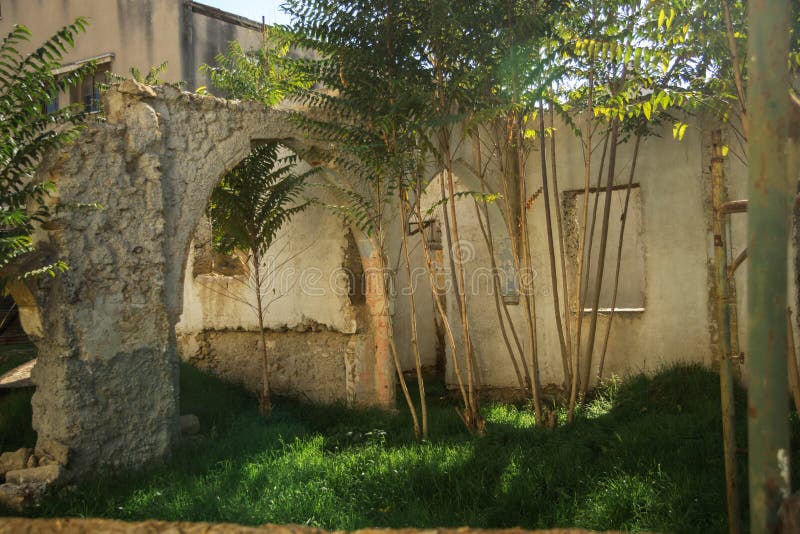 Building Surrounded by a Variety of Trees, Plants and Bushes Stock ...