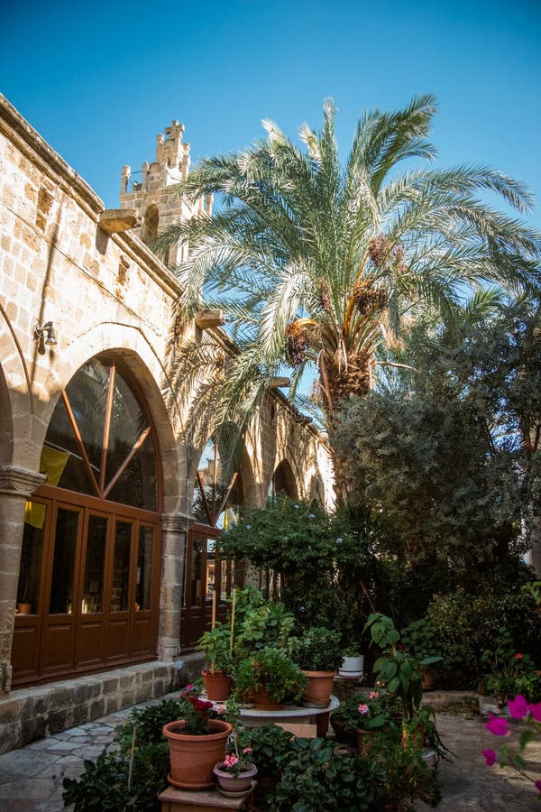 Building Surrounded by a Variety of Trees, Plants and Bushes Stock ...