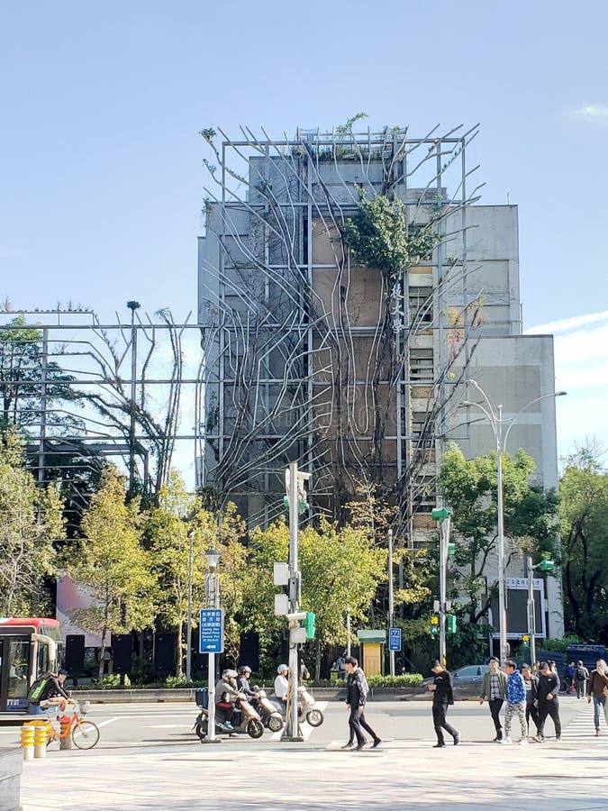 Building it Taipei Taiwan Tree Growing Editorial Stock Image - Image of ...