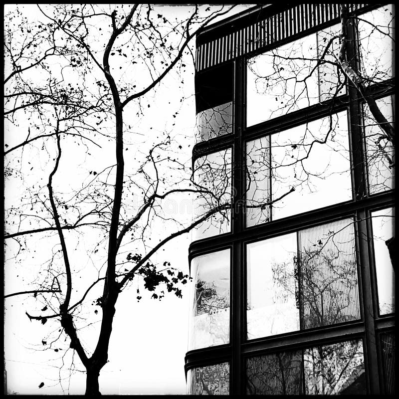 Nature Vs Civilization Photos - Free & Royalty-Free Stock Photos from ...