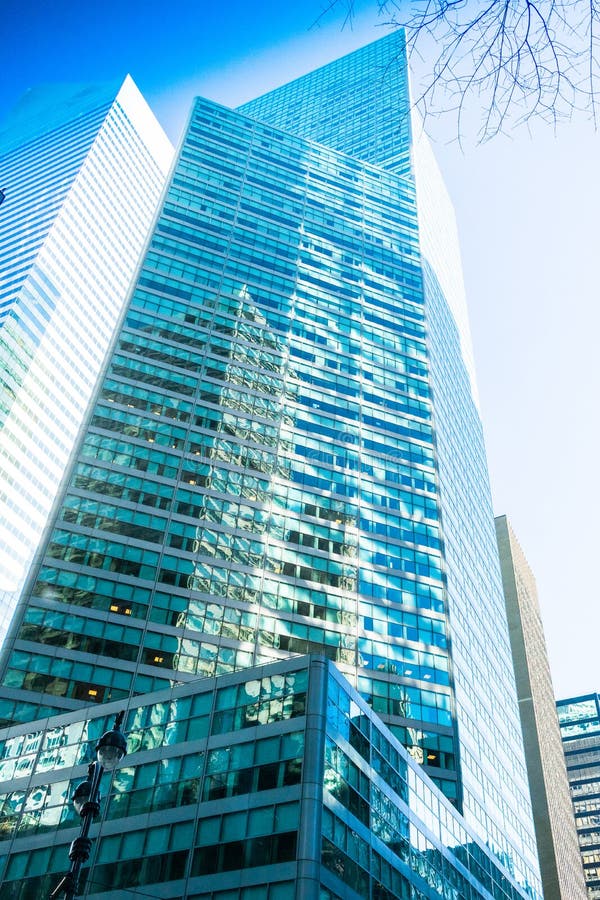 Building and Tree Branch in New York Stock Photo - Image of york, city ...