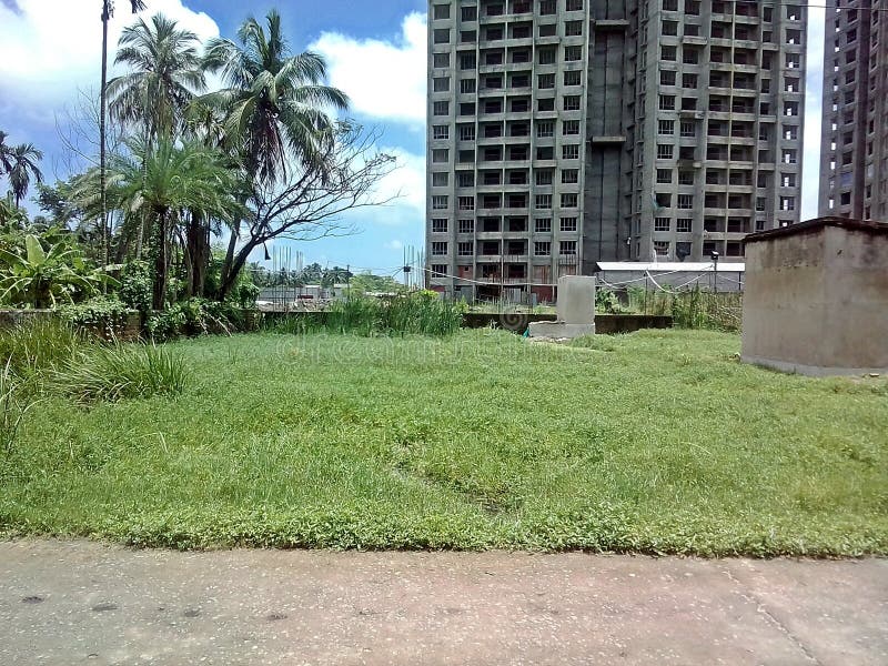 Building with Trees and Grass and Roads Stock Image - Image of trees ...