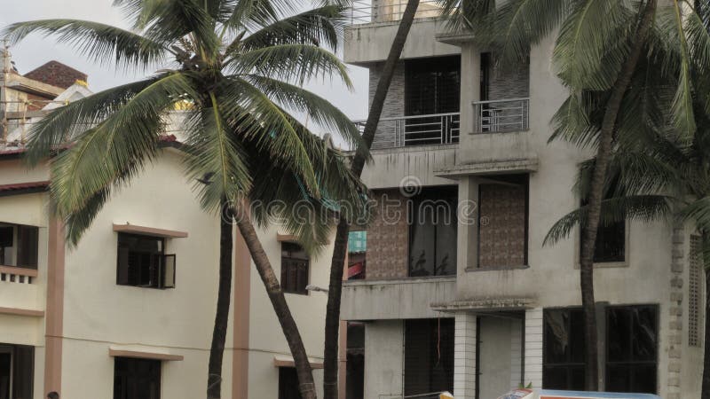 Building and trees stock photo. Image of architectural - 98661394