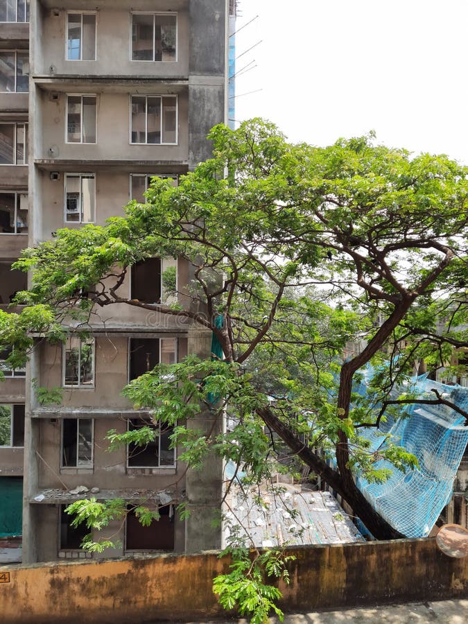 Building Under Construction in Mumbai Editorial Photography - Image of ...
