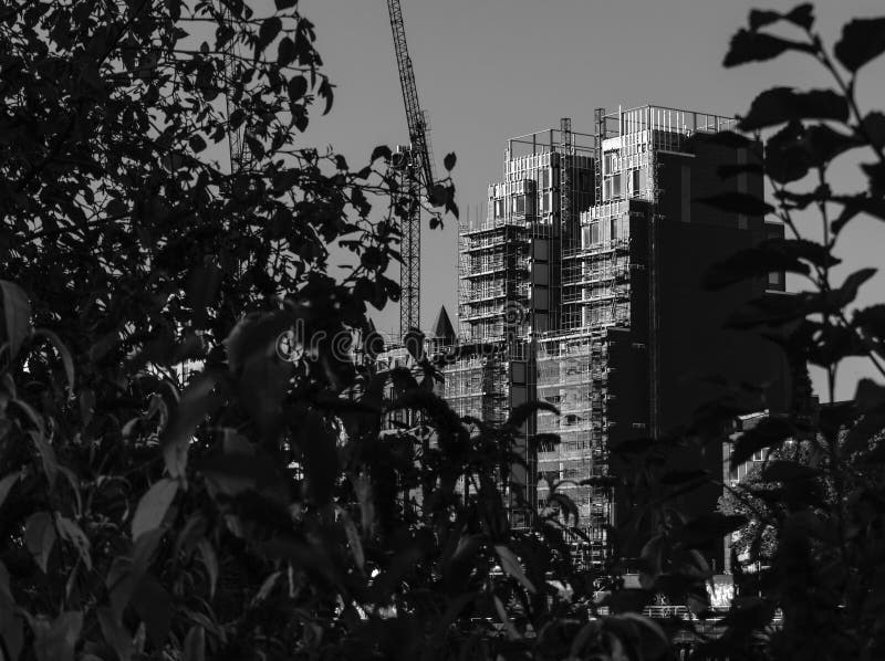 A Building Under Construction Shot through an Opening in the Trees ...