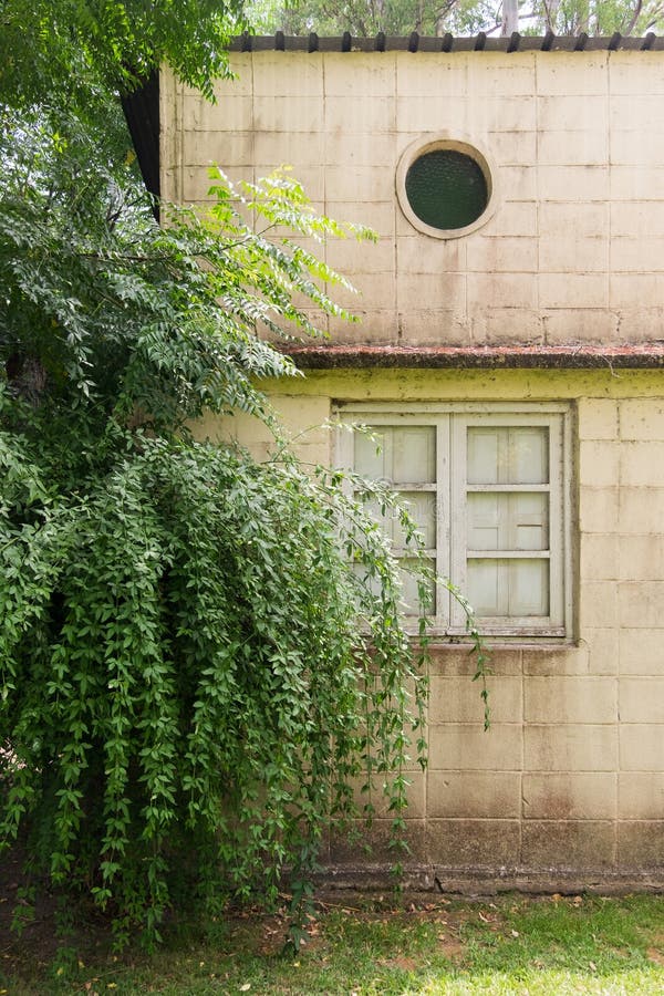 A Building with a Window and a Green Bush Growing Out of it Stock Photo ...