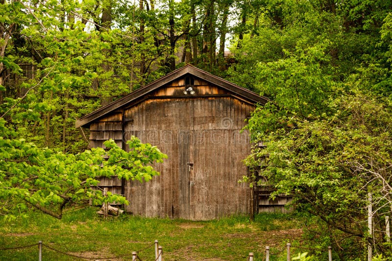 A Building in the Woods Surrounded by Trees and Bush Stock Photo ...