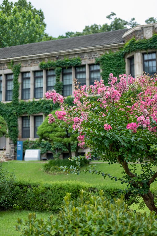 Building in Yonsei University in Seoul, South Korea Stock Photo - Image ... Building in Yonsei University in Seoul, South Korea Stock Photo - Image ...