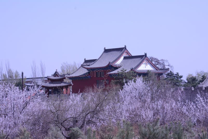 Buildings in the Distant Woods in Cool Tones Stock Photo - Image of ...
