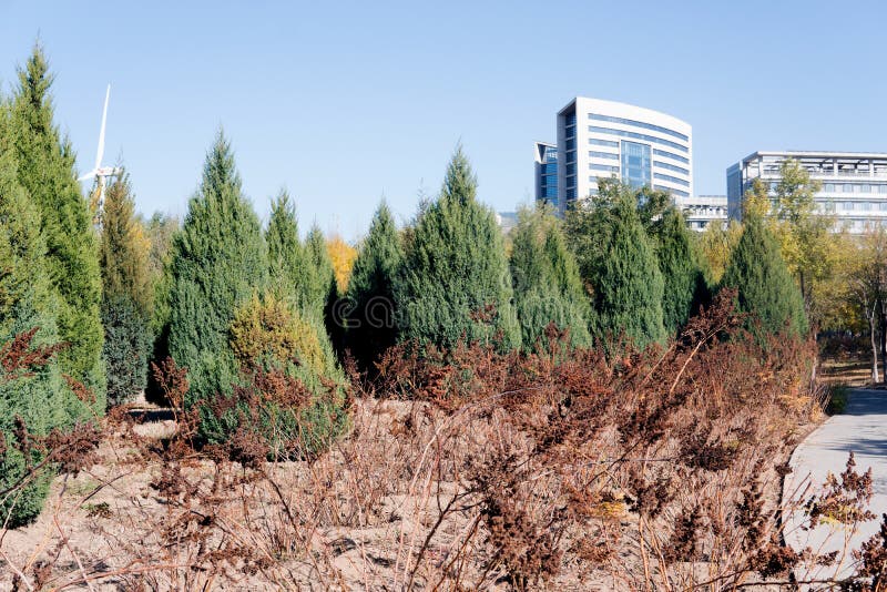 Buildings of the Future Science City in Changping, Beijing Stock Image ...
