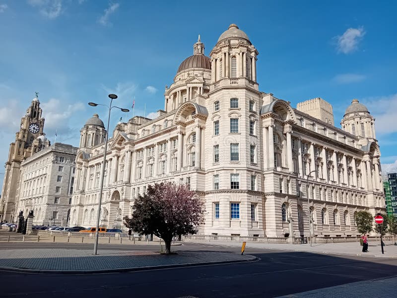 Buildings in Liverpool ,Liverpool Birds, and Three Grace Stock Photo ...