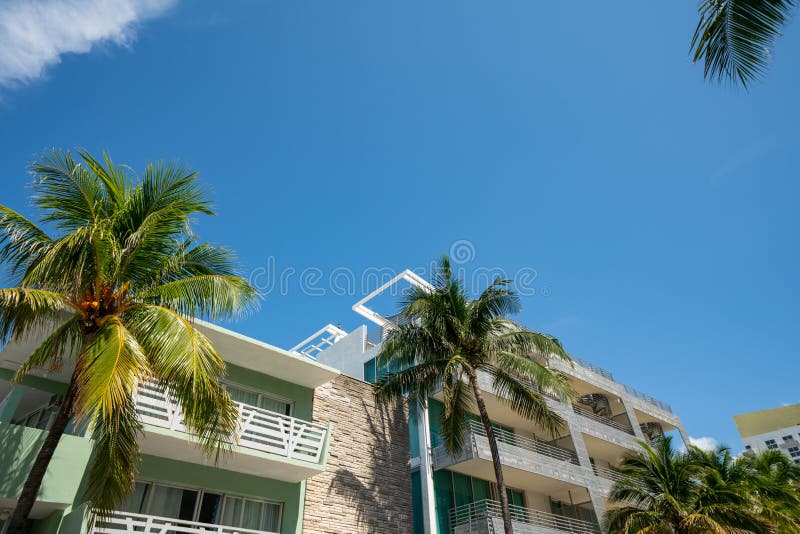 Buildings and Palm Trees Miami Beach FL Stock Image - Image of wide ...