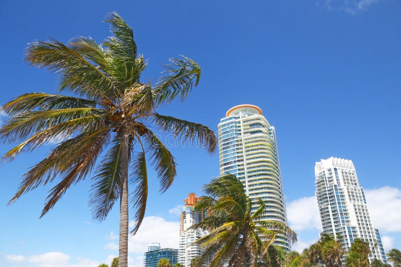 Buildings & Palms of Miami Beach Stock Photo - Image of florida ...