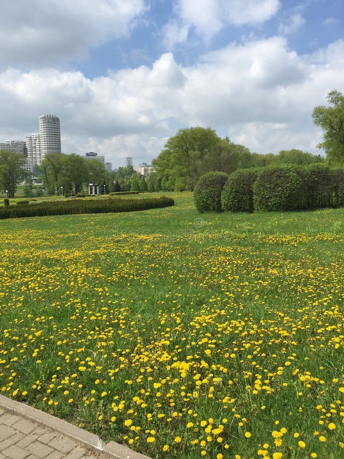 Buildings and Public Parks in a District of Minsk Editorial Stock Image ...