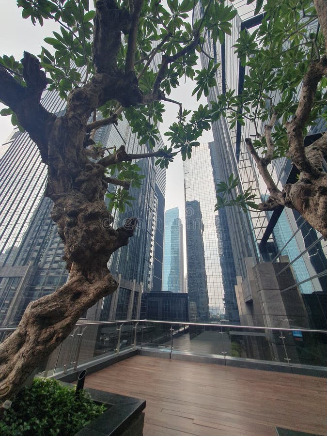 Buildings in SCBD stock image. Image of scbd, offices - 376901761