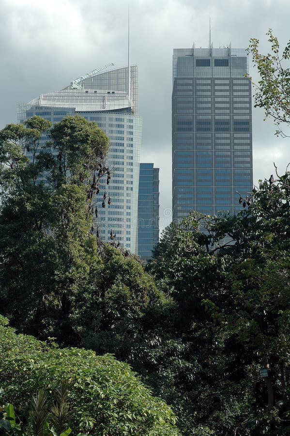 Buildings and trees stock image. Image of bats, skyscraper - 2639617