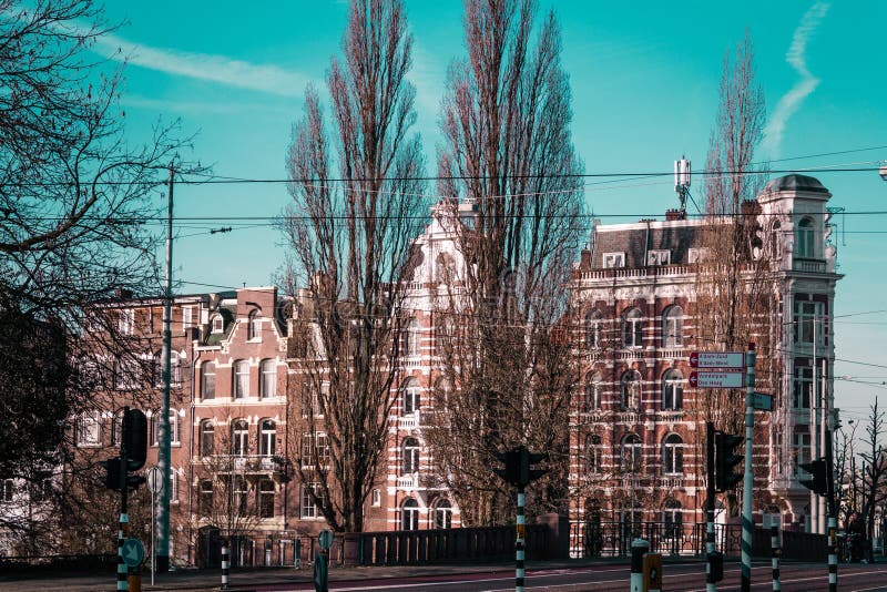 Trees In Amsterdam, Netherlands, Europe And Colorful Buildings Stock ...