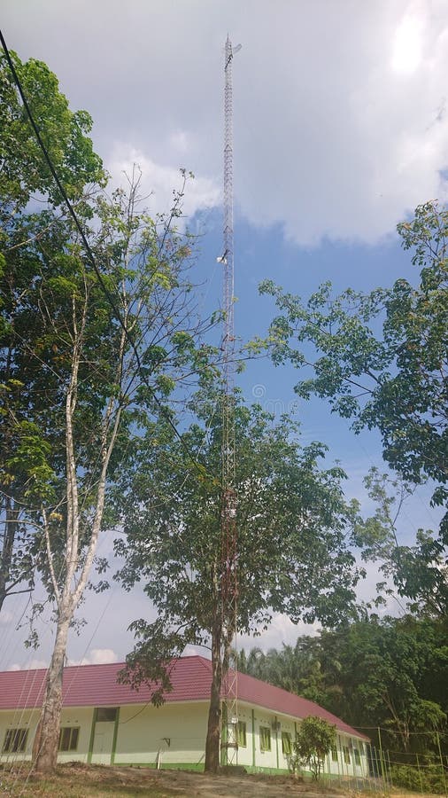 Buildings among Trees and a Tower Stock Image - Image of tower ...