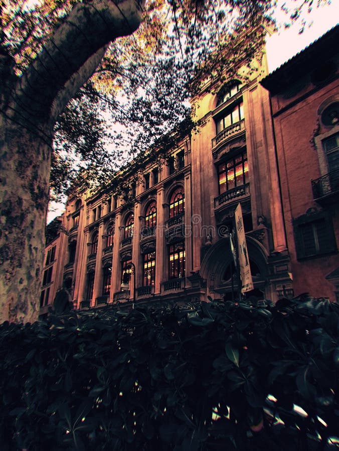 Buildins, City, City Life ,tree , Gold Buildins Stock Image - Image of ...