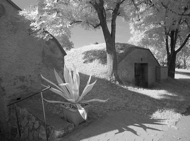 Built in Wine Cellar in Field Stock Photo - Image of wine, outdoor ...