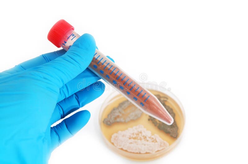 Buis Met Chemische Verbinding Stock Foto - Image of microbiologie ...