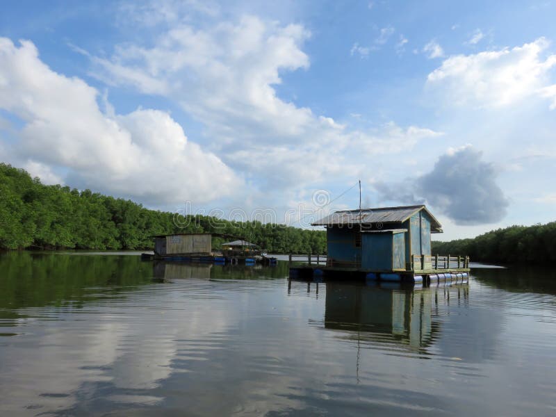 Bujang Sungai Lebam River in Malaysia Stock Photo - Image of scenery ...