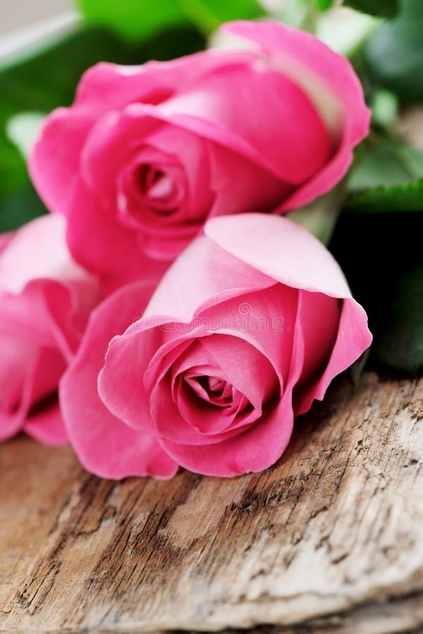 Buket of Pink Roses on Wooden Surface Stock Photo - Image of botanic ...