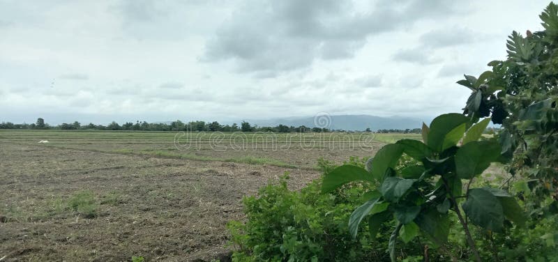 Bukid Stock Photos - Free & Royalty-Free Stock Photos from Dreamstime