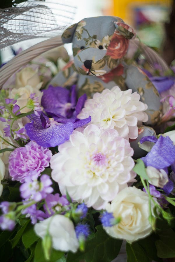 Bukiet biali irysy i dalie zdjęcie stock. Obraz złożonej z menchie ...