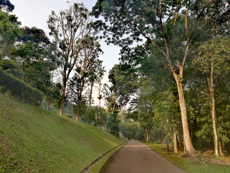 Bukit Batok Nature Park Trail Stock Photo - Image of physical, serene ...