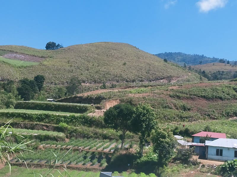 Hill Near the Lower Lake in Sumatra Stock Photo - Image of bukit, jalan ...