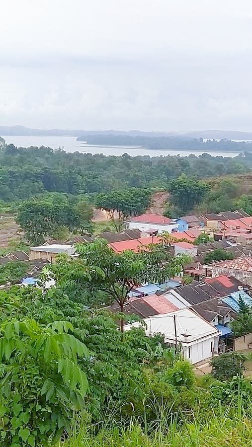 Bukit kemuning stock photo. Image of trees, flower, village - 201139272
