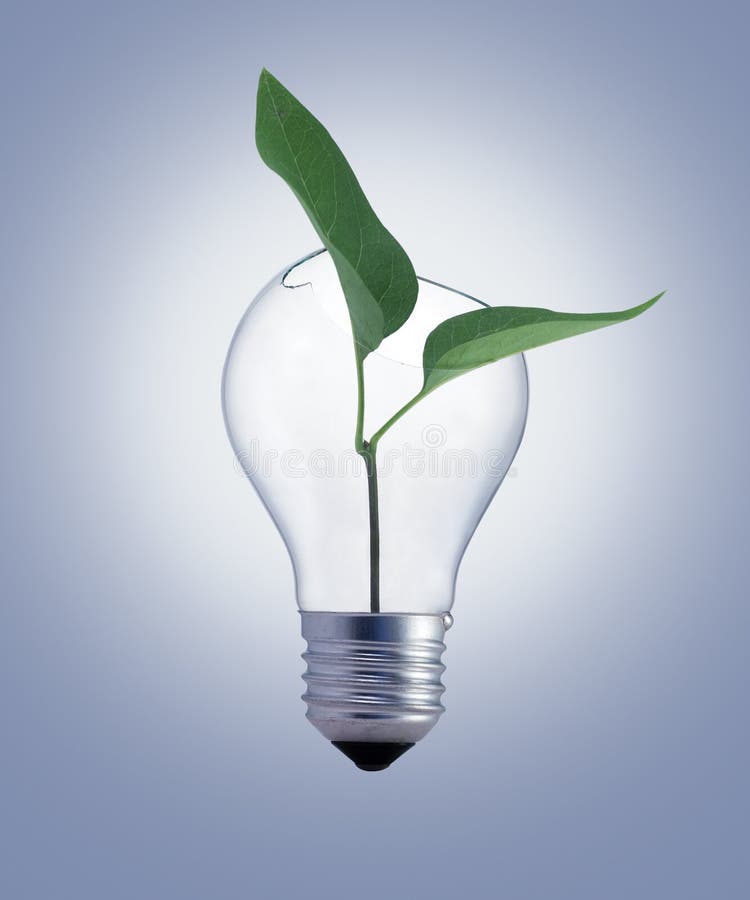Sprout Inside the Light Bulb Stock Photo - Image of shape, plant: 9089994