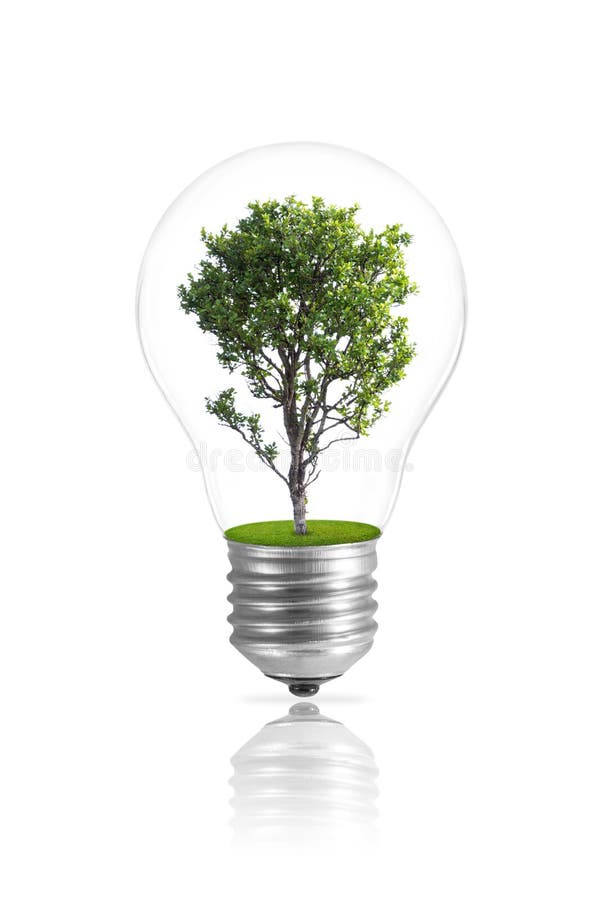 Bulb Light with Tree Isolated Stock Photo - Image of environment ...