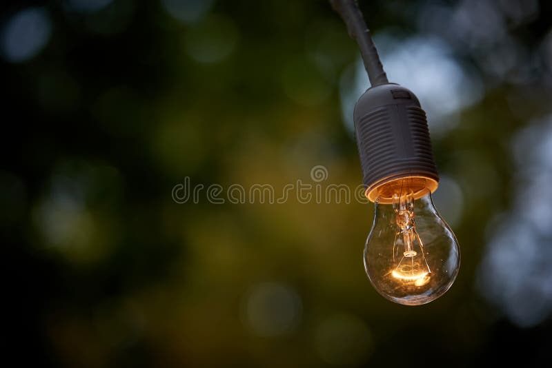 Bulb lights decoration stock photo. Image of bright - 171322026