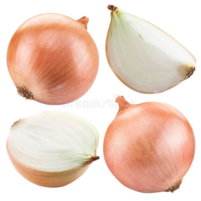 Onion Isolated on White Background, Top View. Wallpaper Abstract Stock ...
