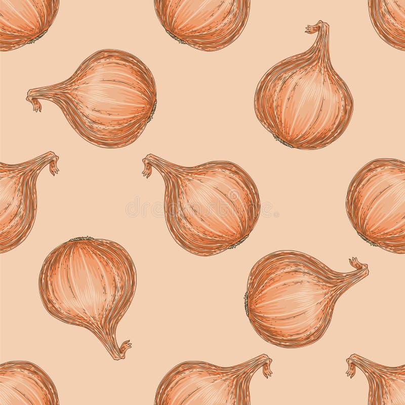 Bulb Onion Seamless Pattern Stock Vector - Illustration of onion ...