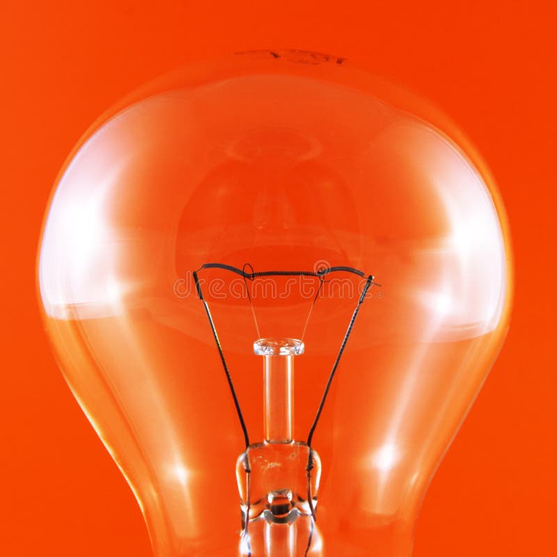 Bulb Picture. Image: 1259590