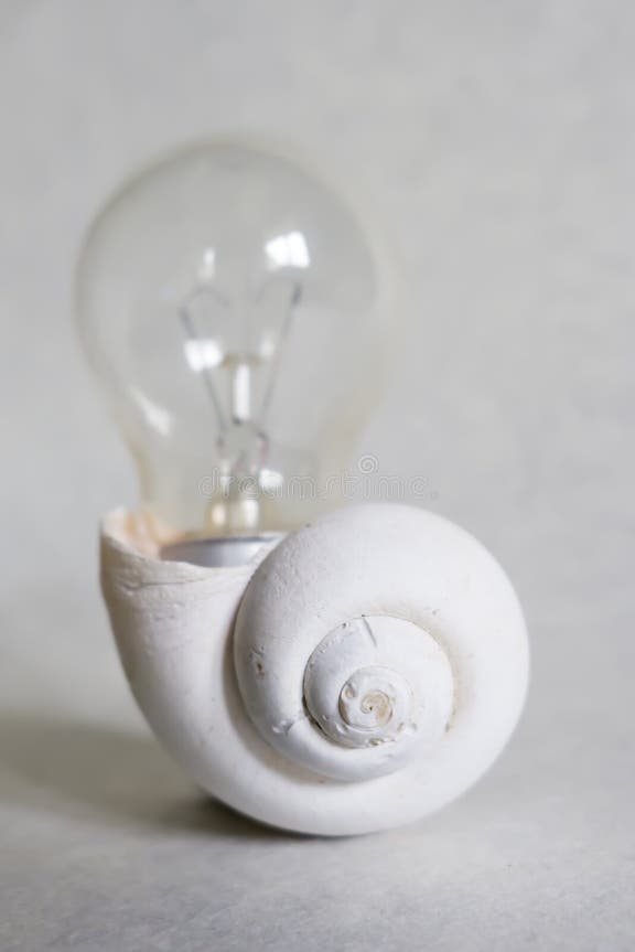 Bulb shell stock image. Image of animal, think, protect - 55054595