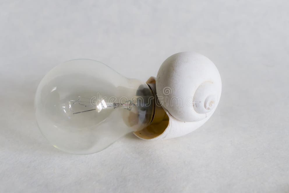 Bulb shell stock image. Image of surrealist, rare, imagine - 55054617