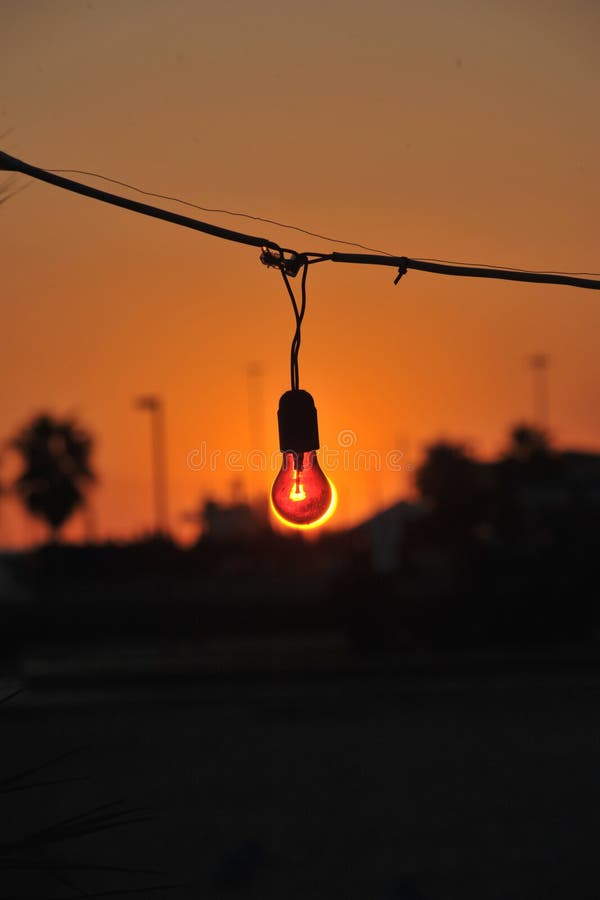 Bulb at sunset stock photo. Image of effect, special - 103180256