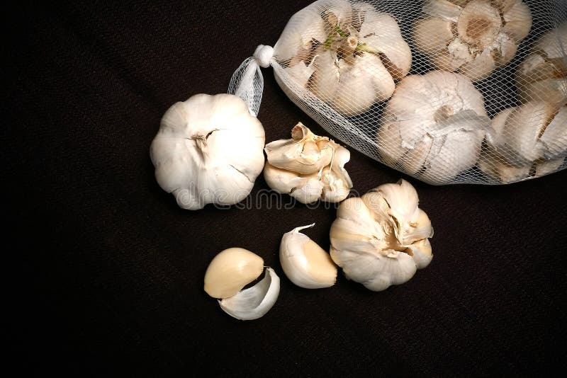 Bulbil, Head and Net of Garlic on a Dark Background Stock Image - Image ...