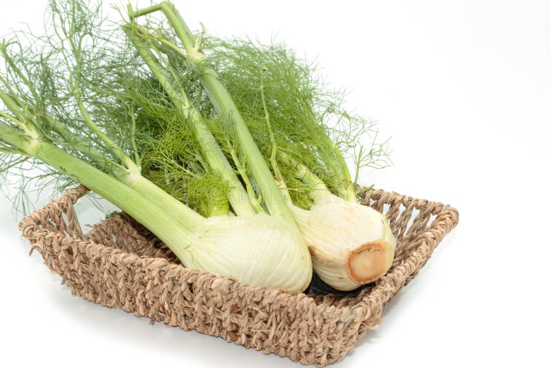 Bulbo Da Erva-doce Com Folhas Foto de Stock - Imagem de vegetal ...